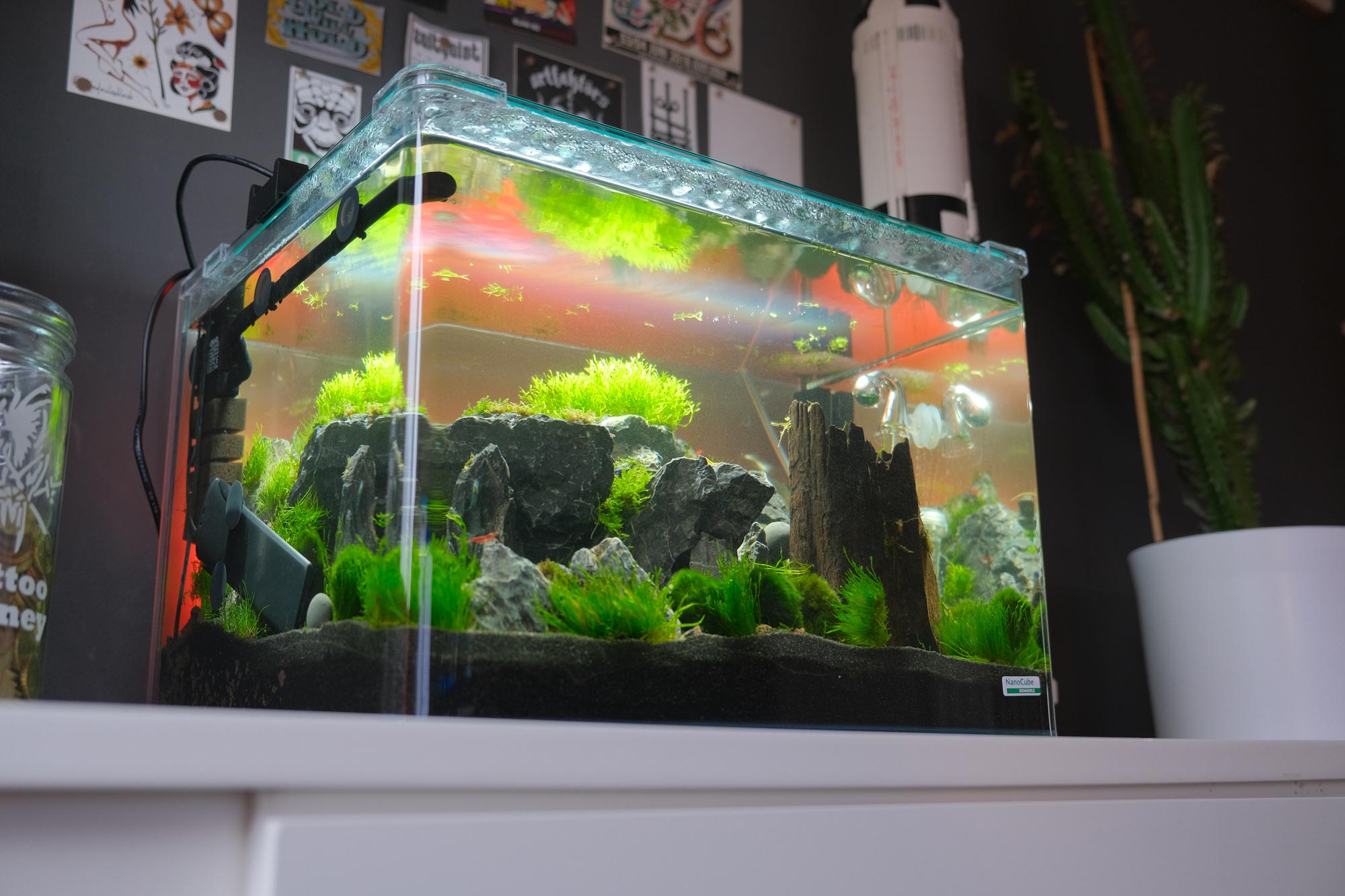 Dennerle Scaper´s Tank - Nano Aquarium Stuff